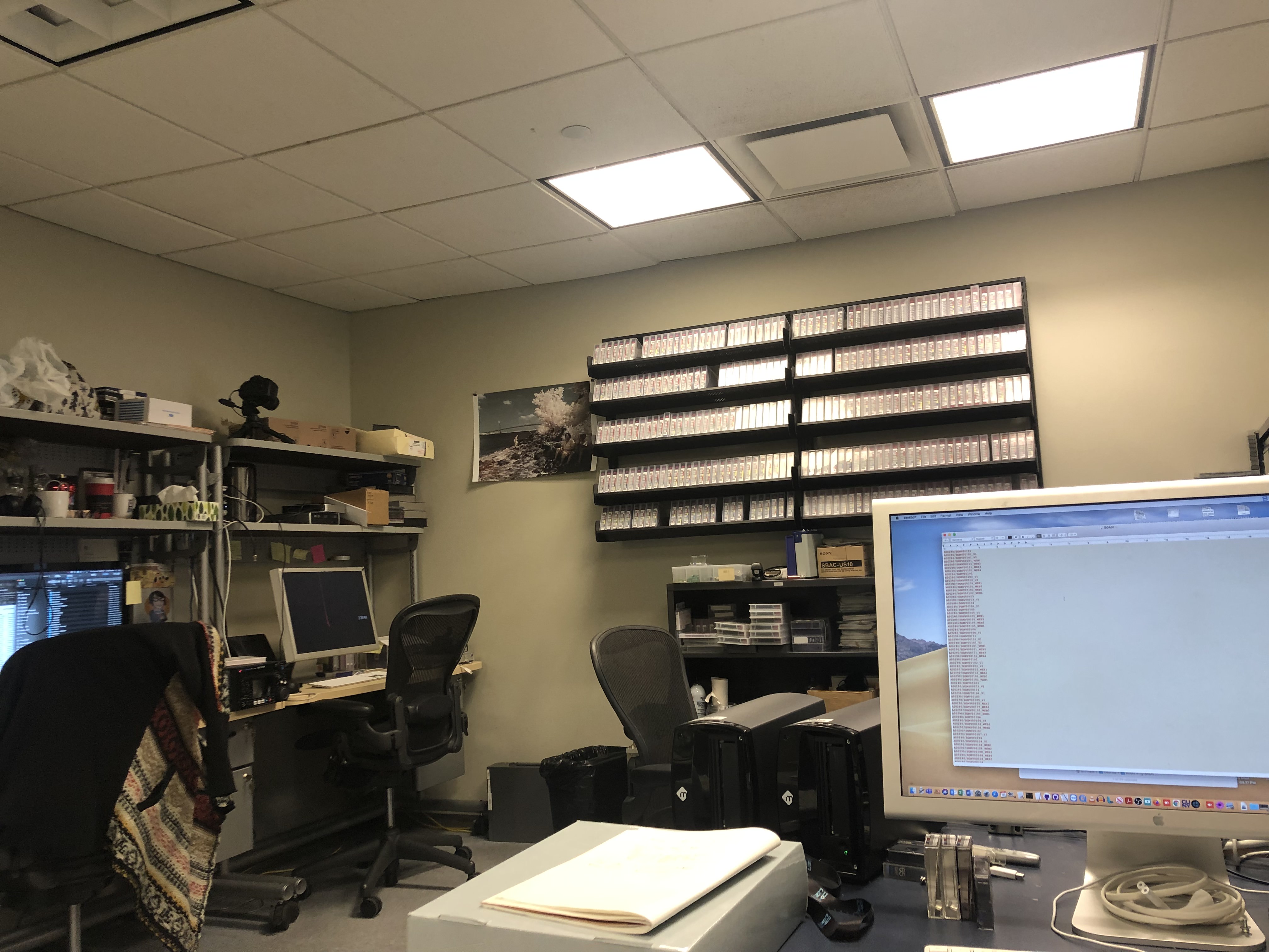 Lindsay Miller, Fall 2021