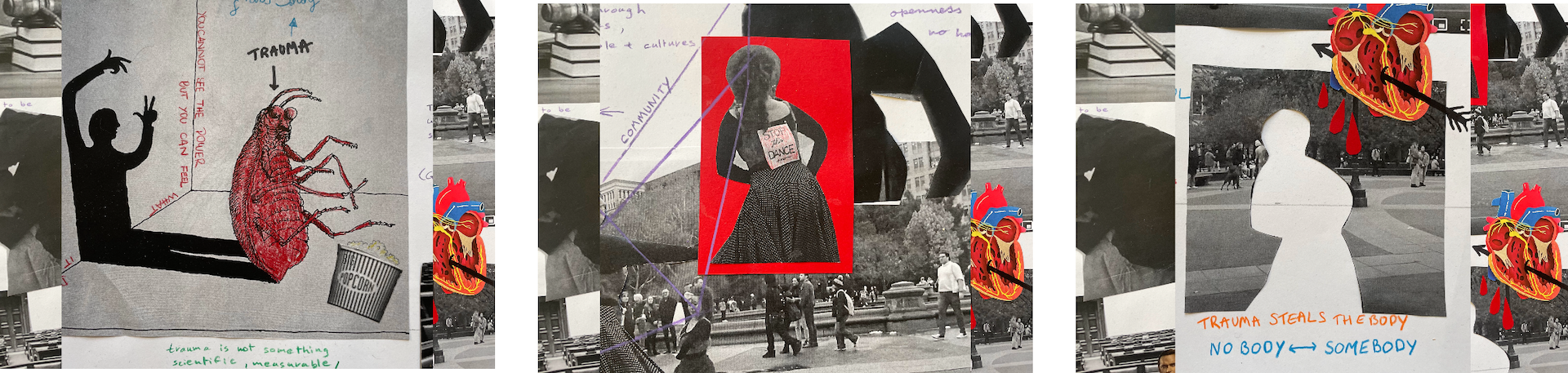 PS Graduate Students Create Website Highlighting Their Class Projects