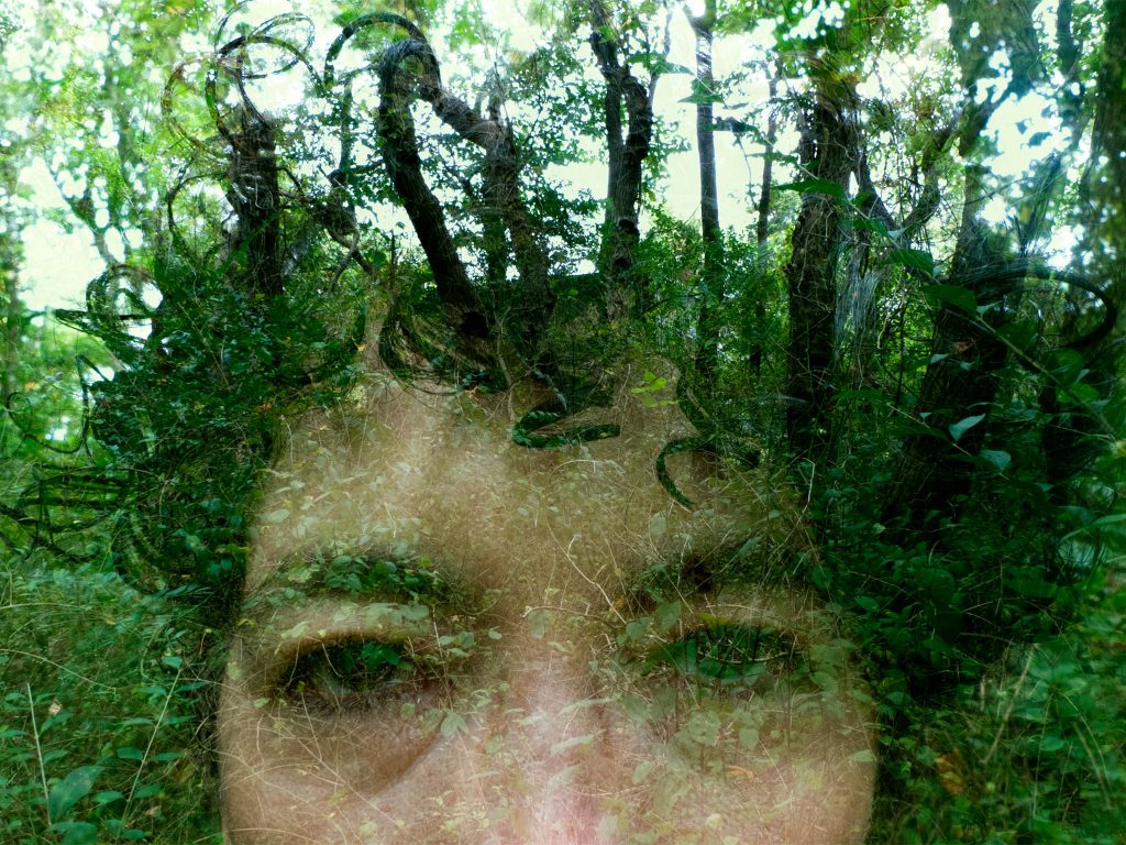 DPI Prof. Lorie Novak's Migraine Register Featured on Fast Forward